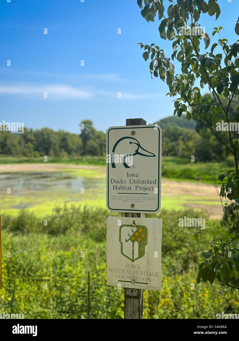 Ducks Unlimited Love