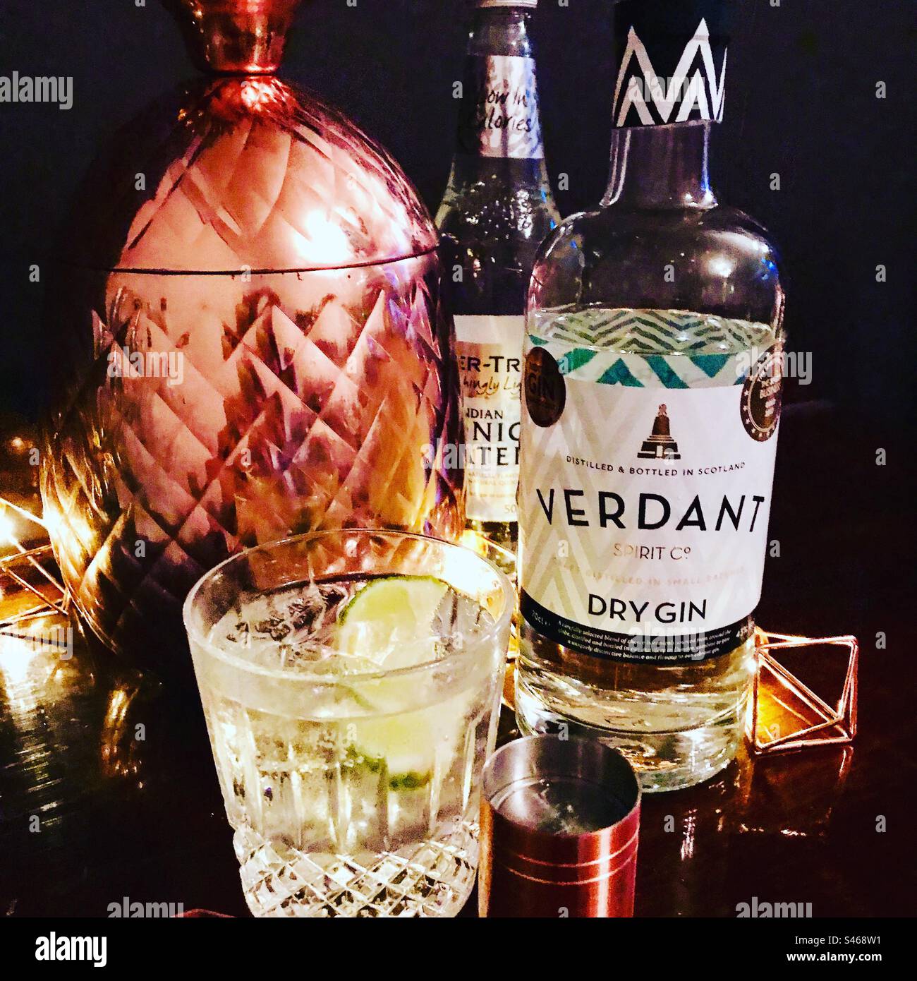 Gin and Tonic with Verdant Gin Stock Photo - Alamy