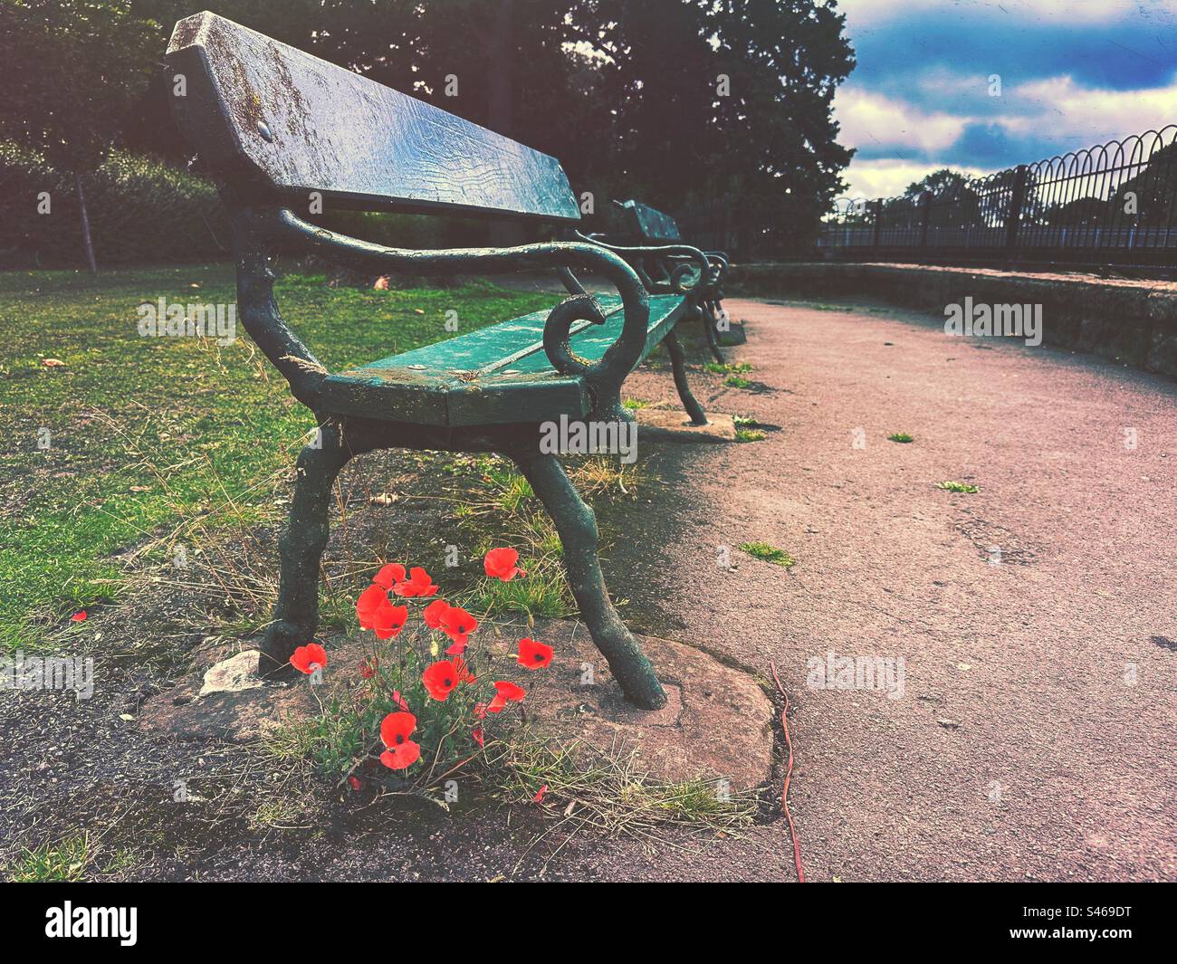 Red poppies at the side of a park bench Stock Photo - Alamy