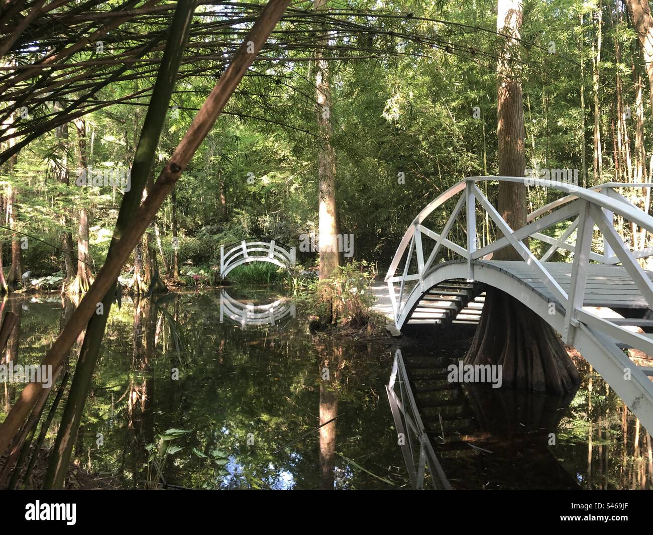 Swamp bridge hi-res stock photography and images - Alamy