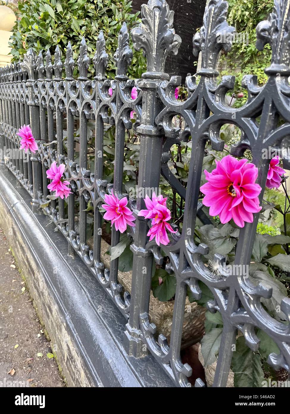 Wrought Iron Fence Flower