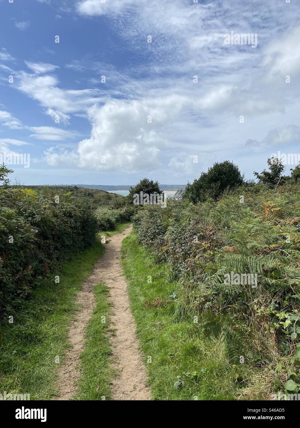 Pobbles beach gower hi-res stock photography and images - Alamy