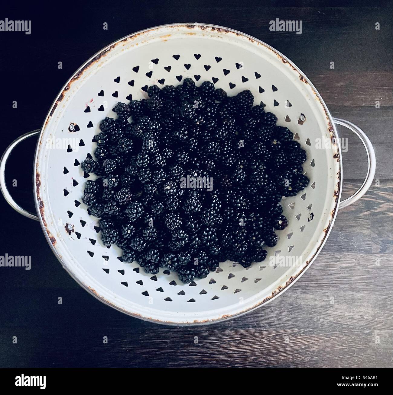 Foraged hi-res stock photography and images - Alamy