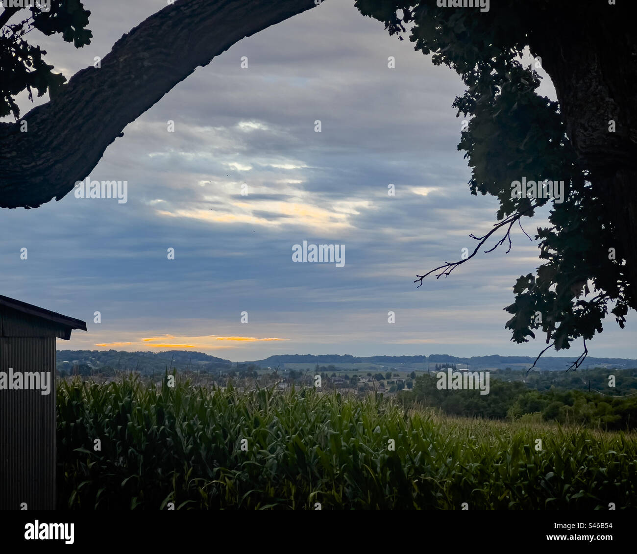 Dubuque, Iowa, August 13, 2023 – landscape photo of tree framing sunset ...