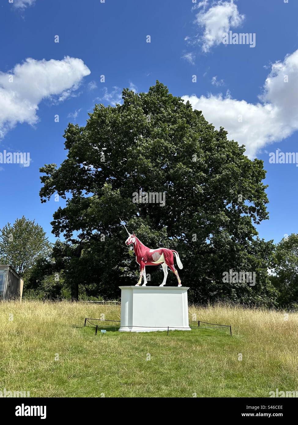 Damian hurst art hi-res stock photography and images - Alamy