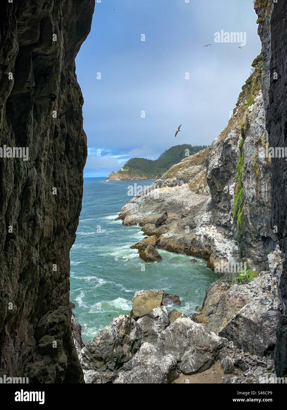 Flying solo hi-res stock photography and images - Alamy