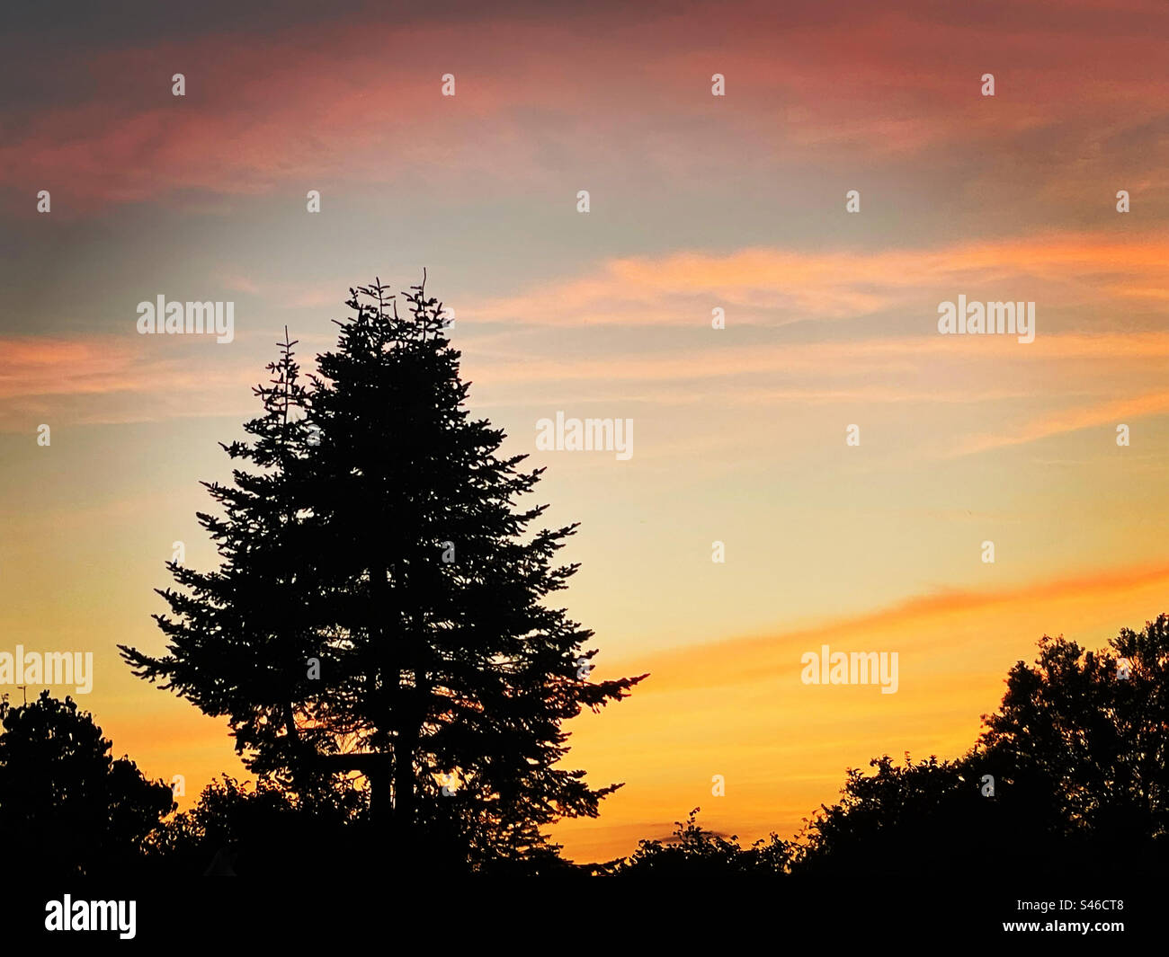 Nights skyline hi-res stock photography and images - Alamy