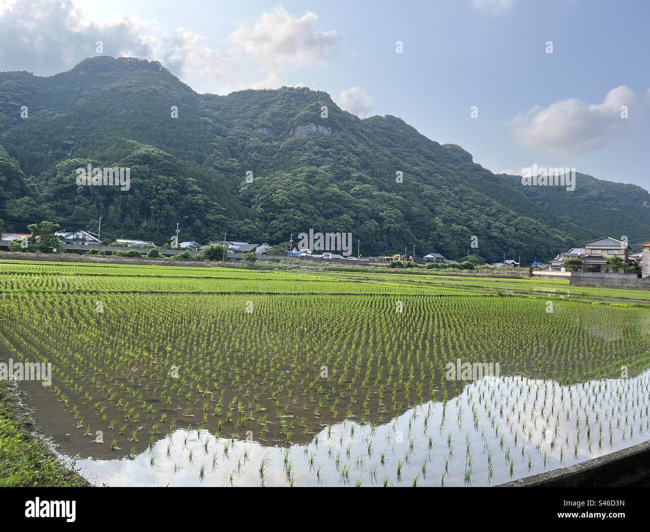 Saza hi-res stock photography and images - Alamy