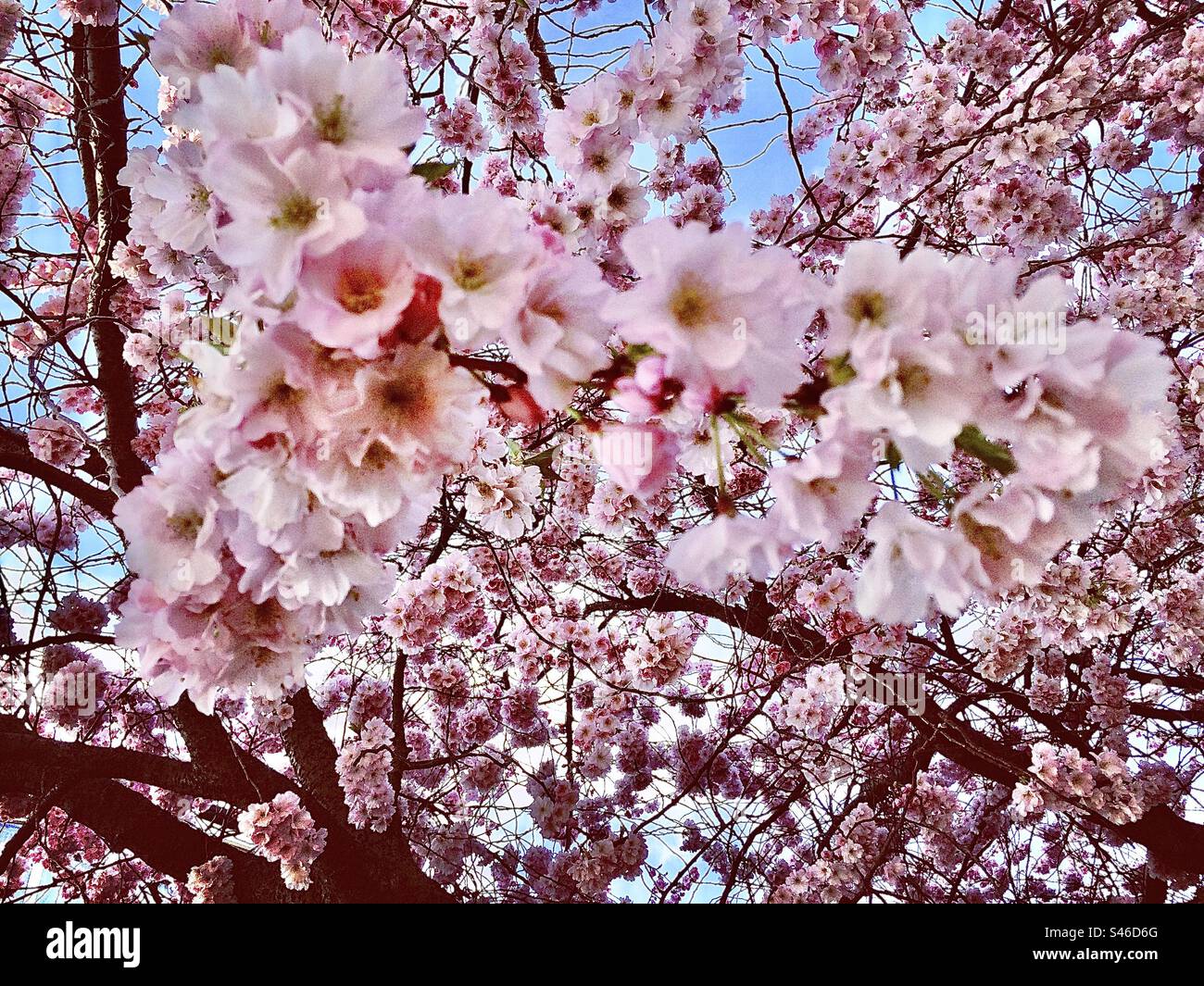 Springseason hi-res stock photography and images - Alamy