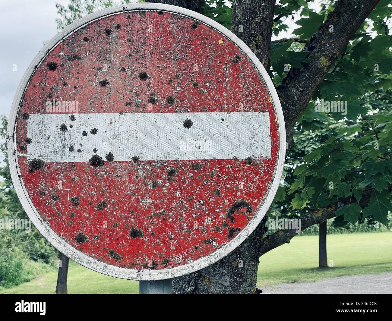 Old used traffic sign „no entry“, with trees in the background Stock ...