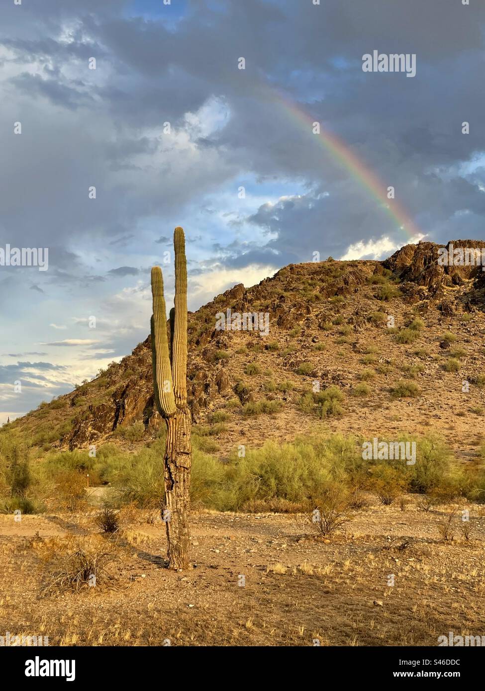 Golden light on dreamy draw mountains hi-res stock photography and ...