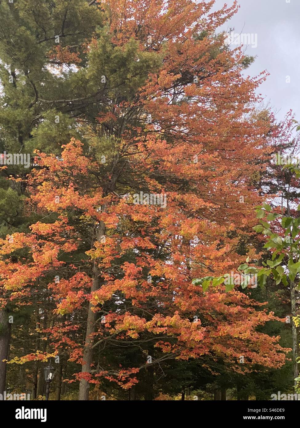 Beginning colors hi-res stock photography and images - Alamy