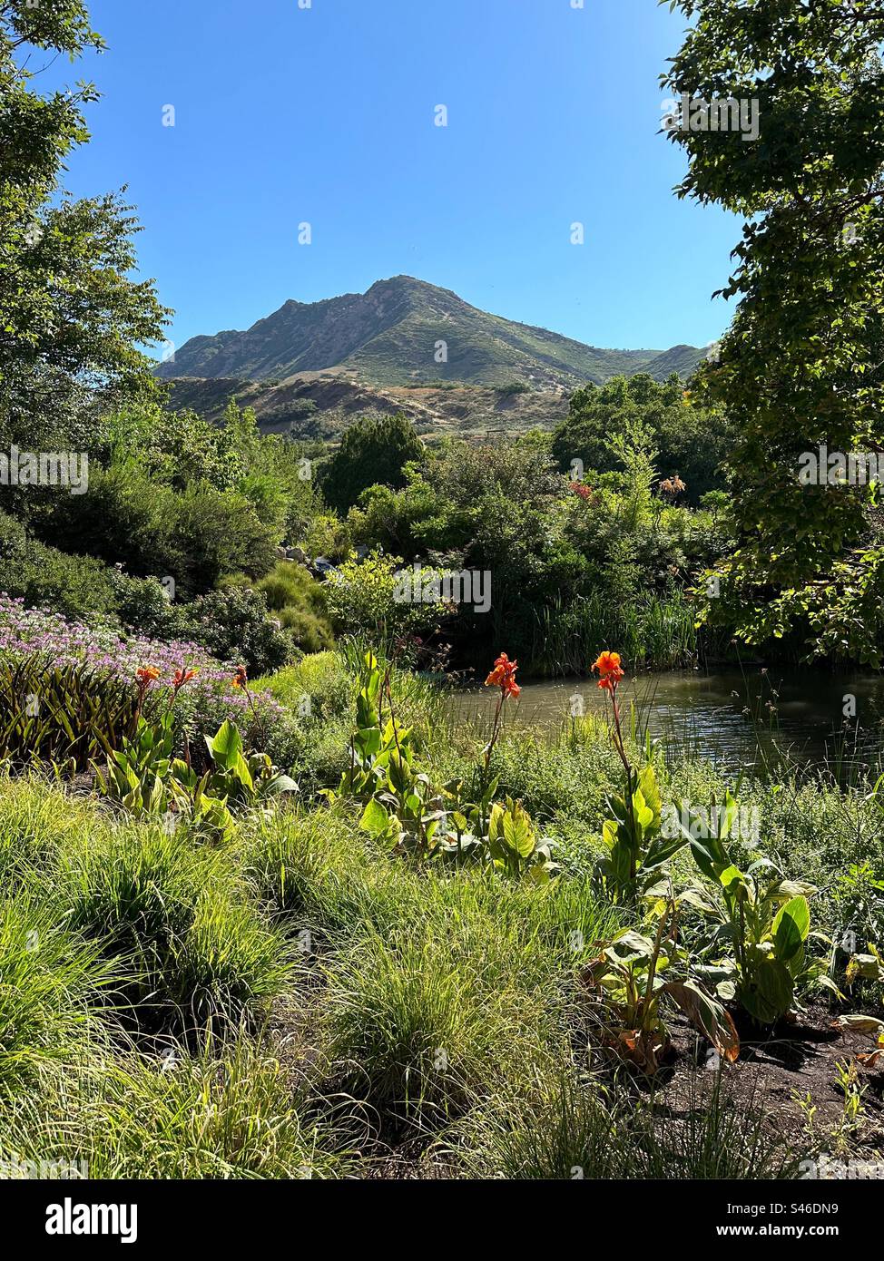 Salt Lake City landscape, vertical Stock Photo - Alamy