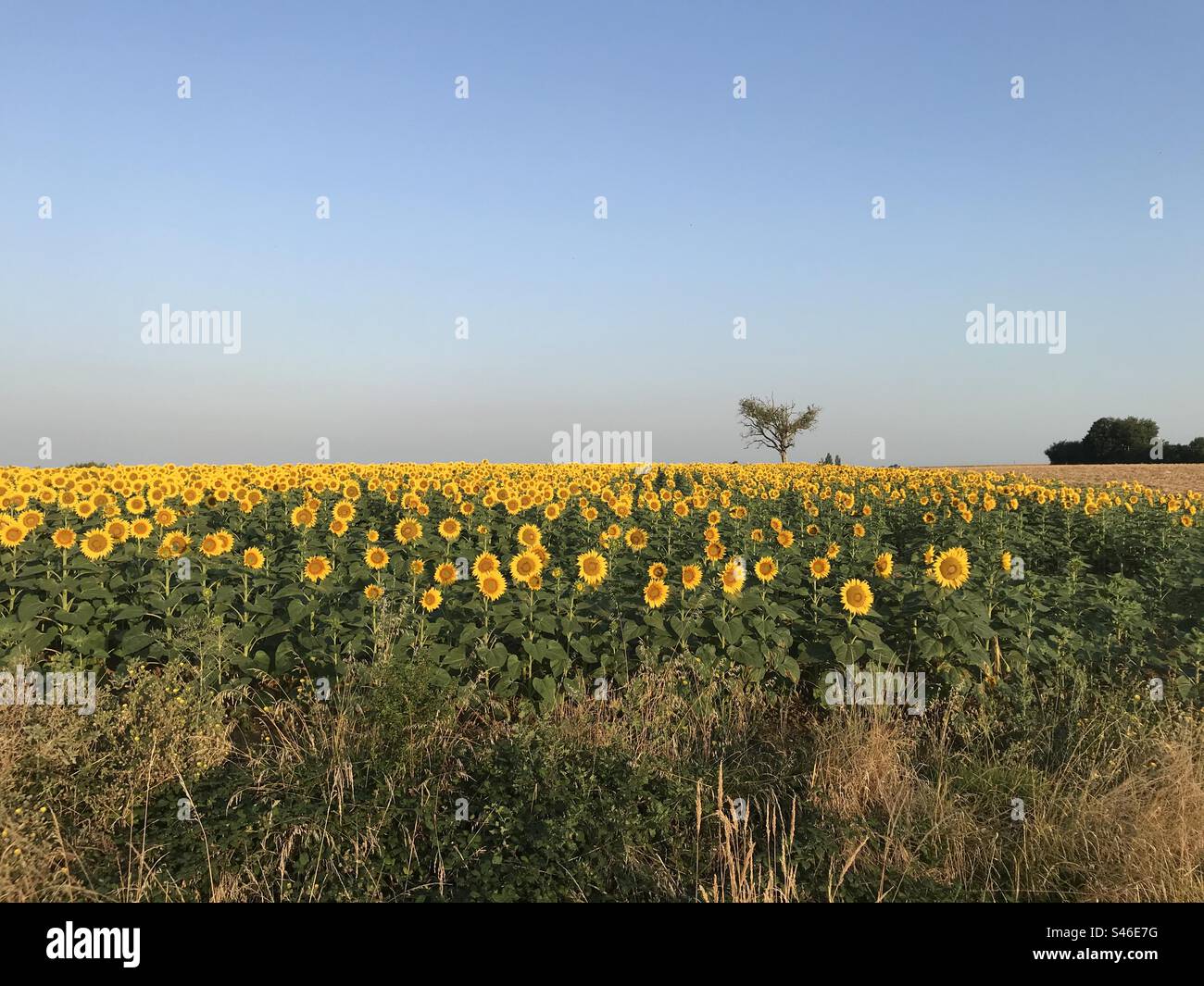 Gers landscape hi-res stock photography and images - Alamy