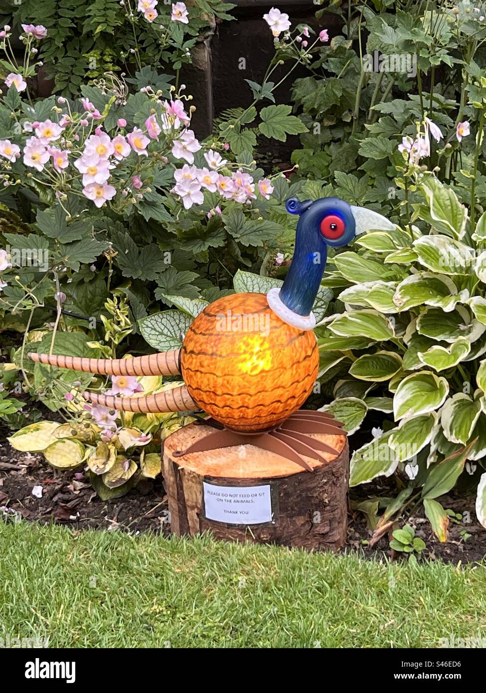 Orange body and blue neck hi-res stock photography and images - Alamy