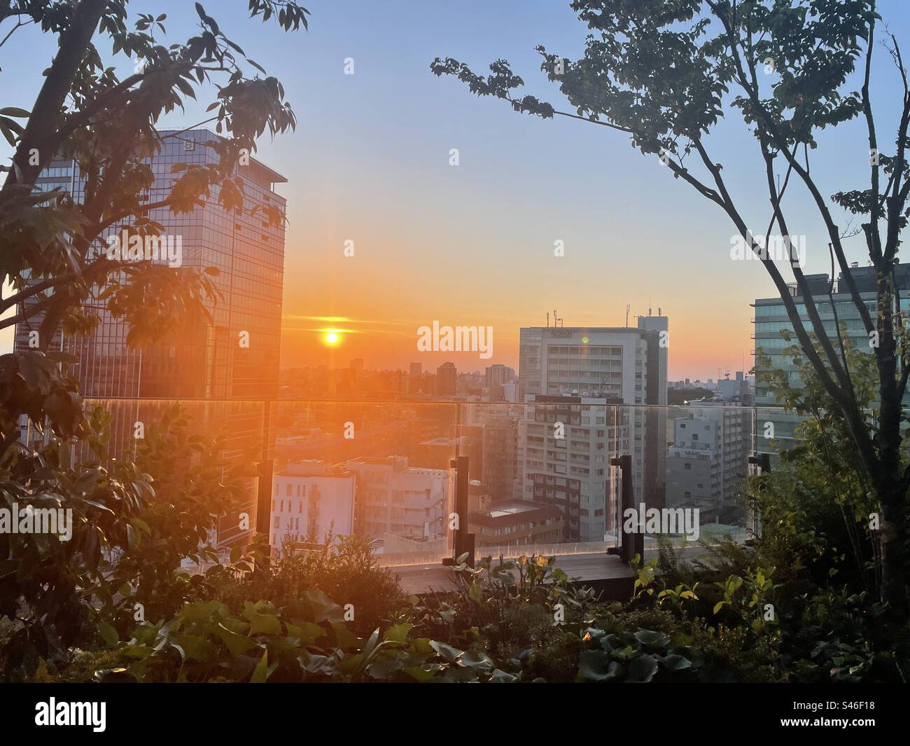Japan, Rooftop in Tokyo at sunset Stock Photo - Alamy