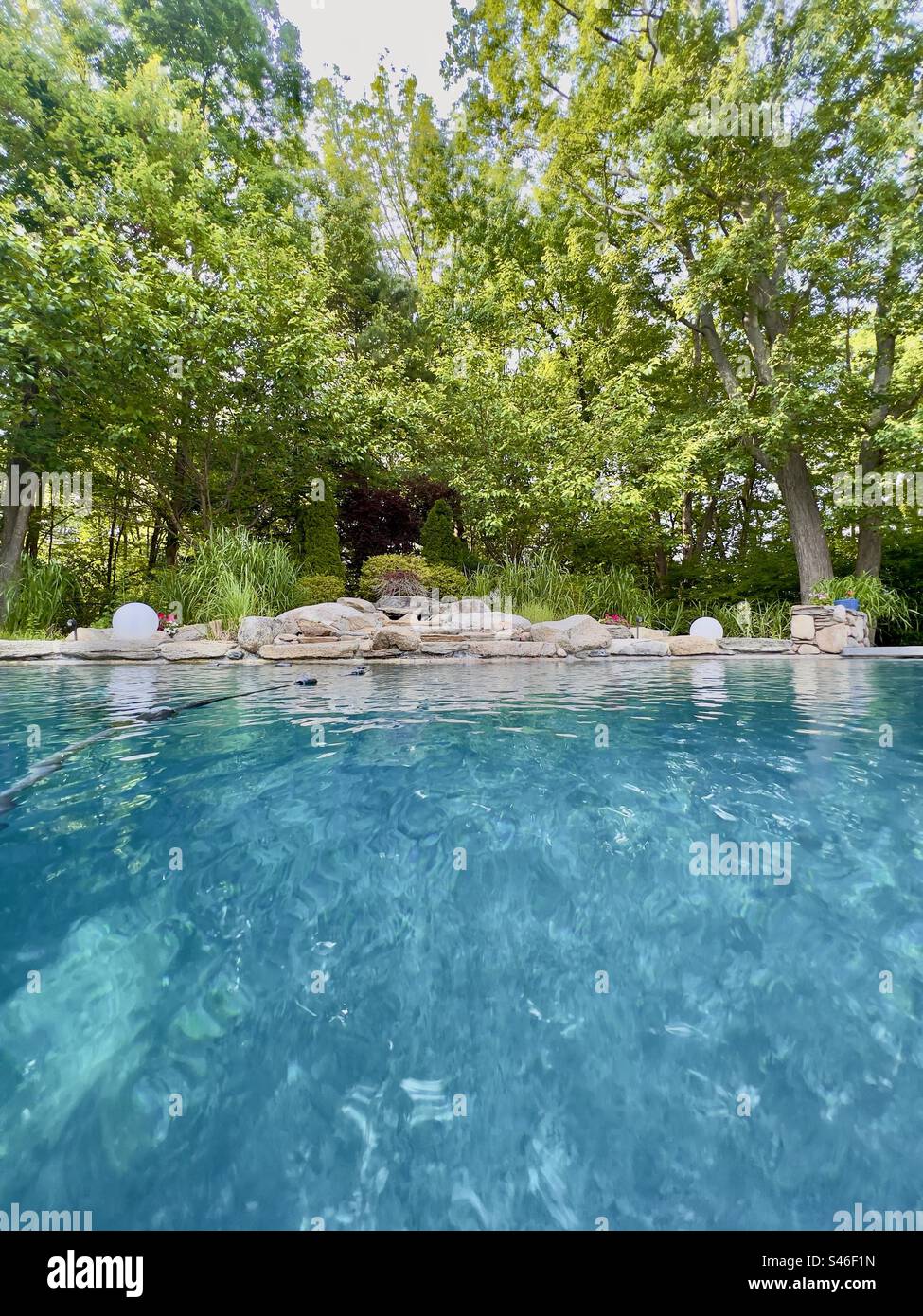 Pool surround by lush greenery Stock Photo - Alamy