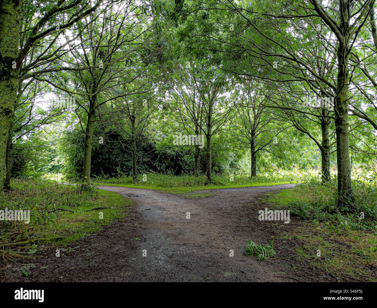 Forking path hi-res stock photography and images - Alamy
