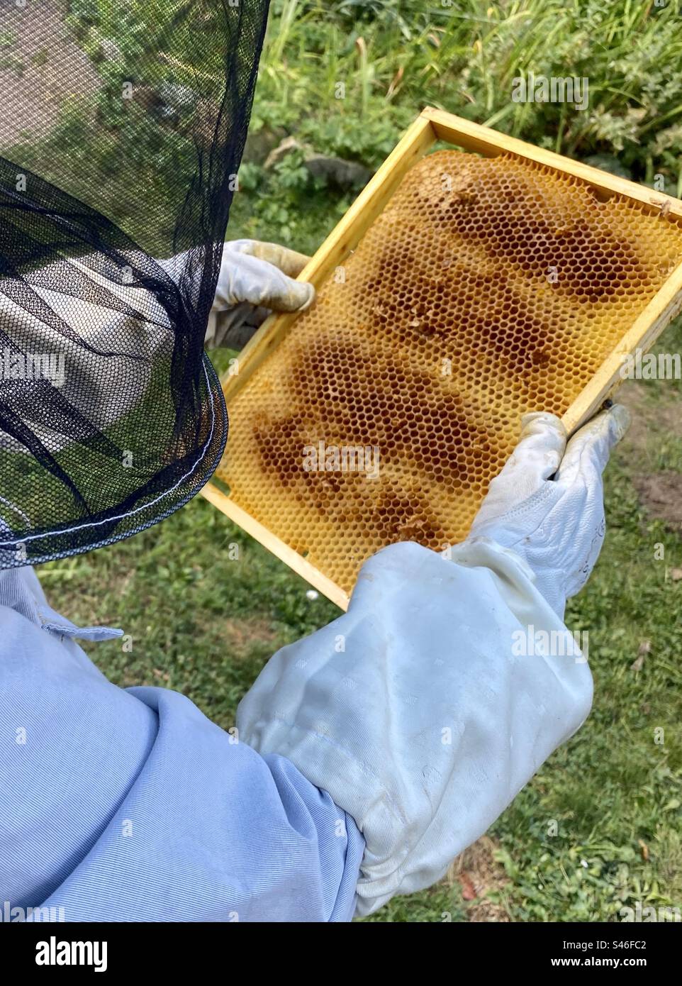Beekeeper uniform hi-res stock photography and images - Alamy