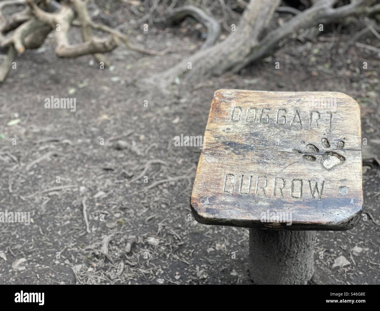 Woodland letters hi-res stock photography and images - Alamy