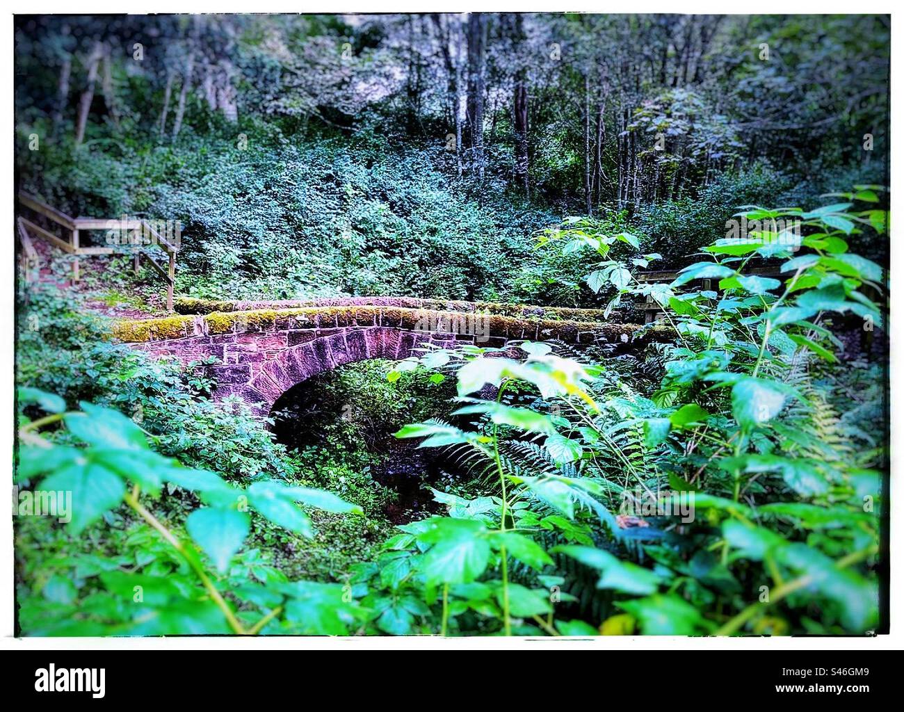 Leafy green leaves hi-res stock photography and images - Alamy