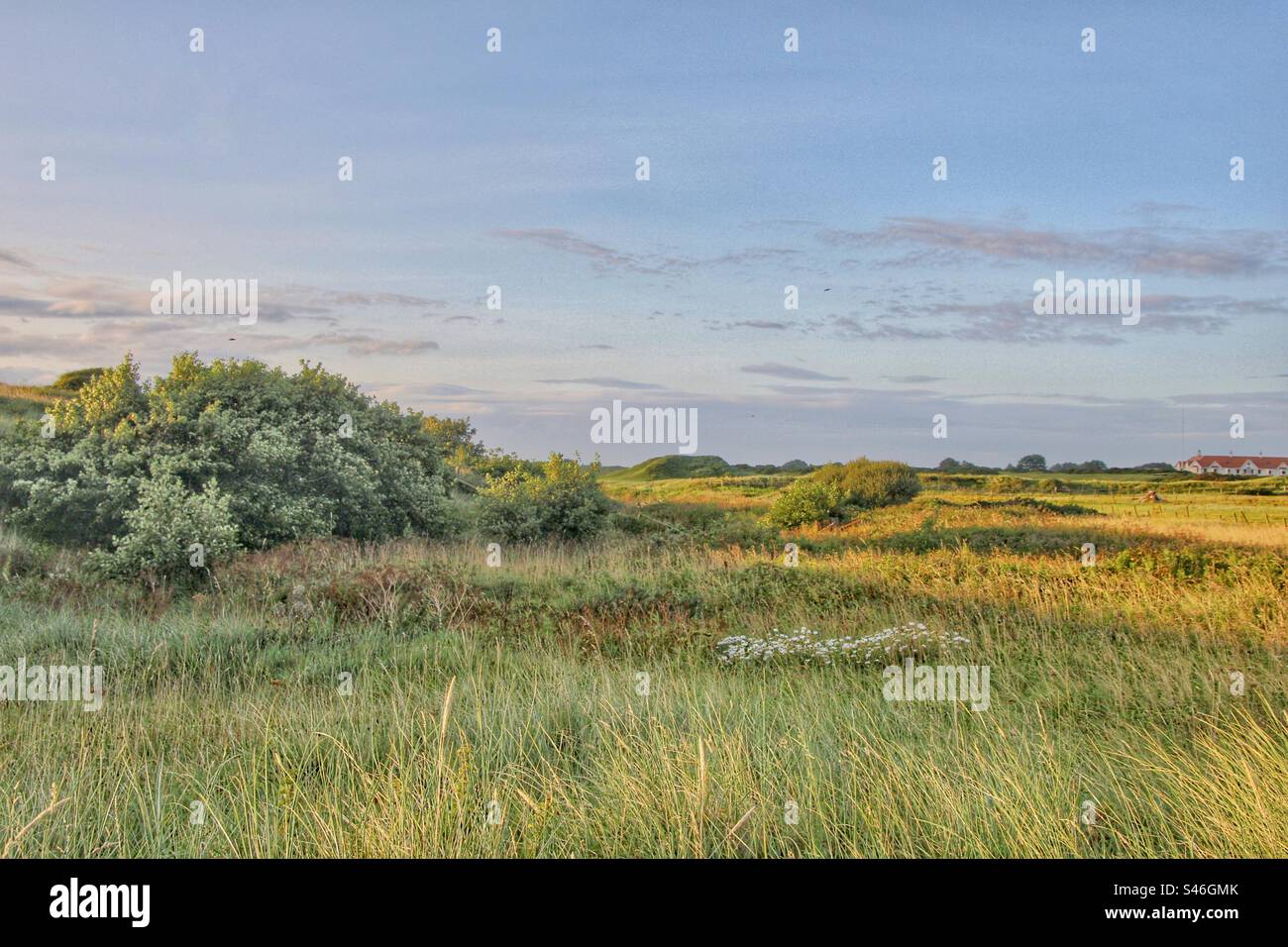 Golden wild landscape hi-res stock photography and images - Alamy