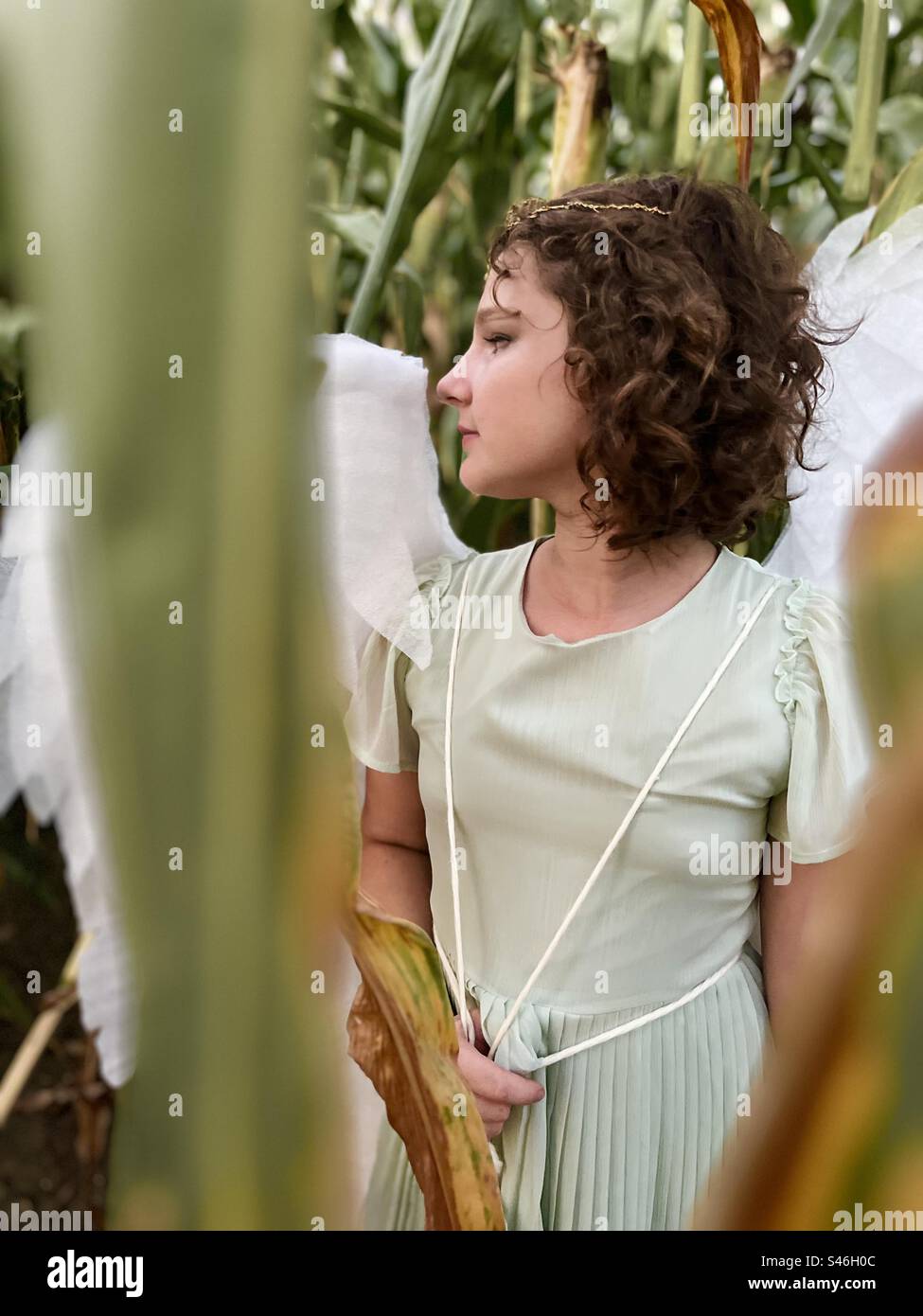 Fairytale field hi-res stock photography and images - Alamy