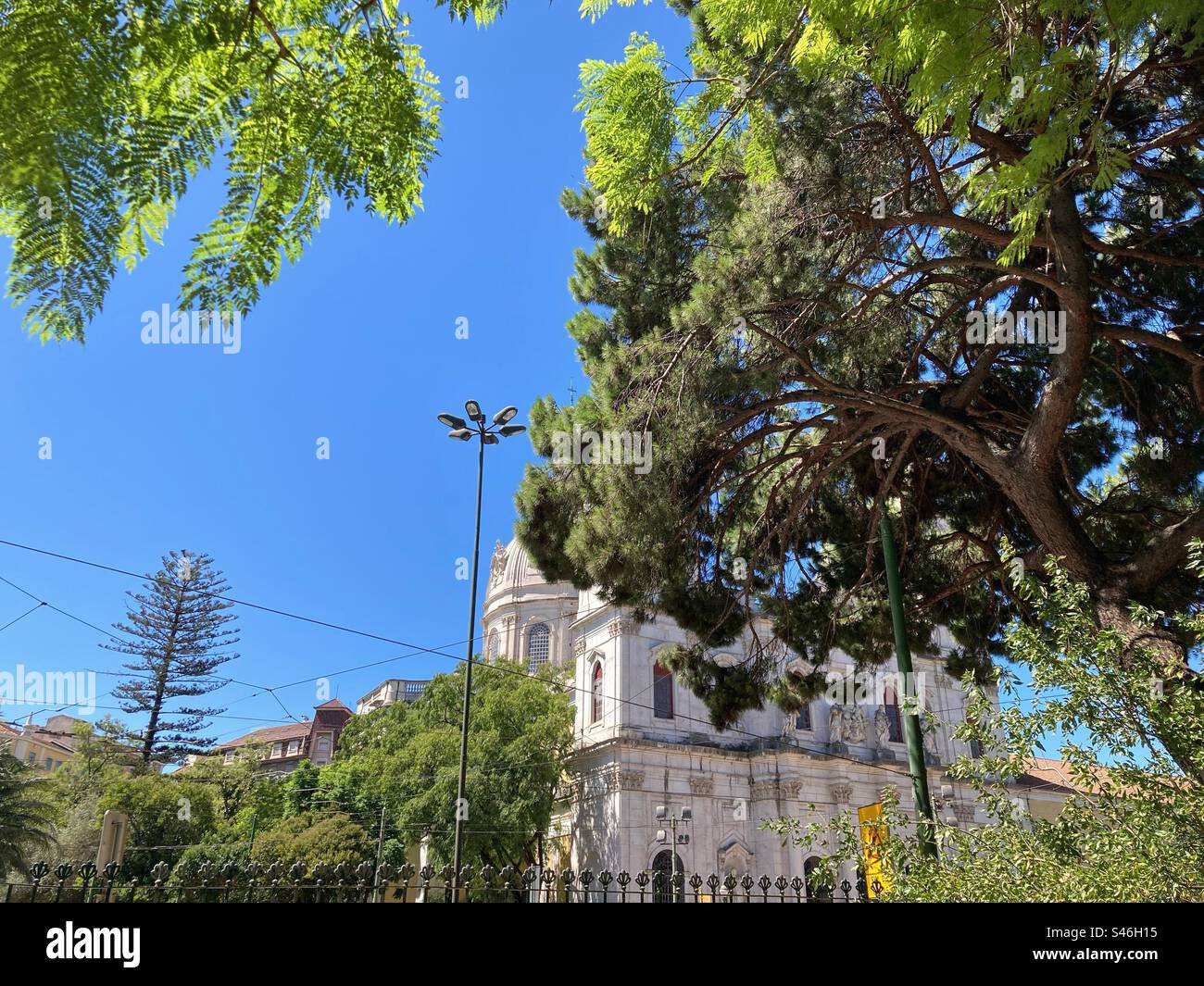 Basilica da estrela garden hi-res stock photography and images - Alamy