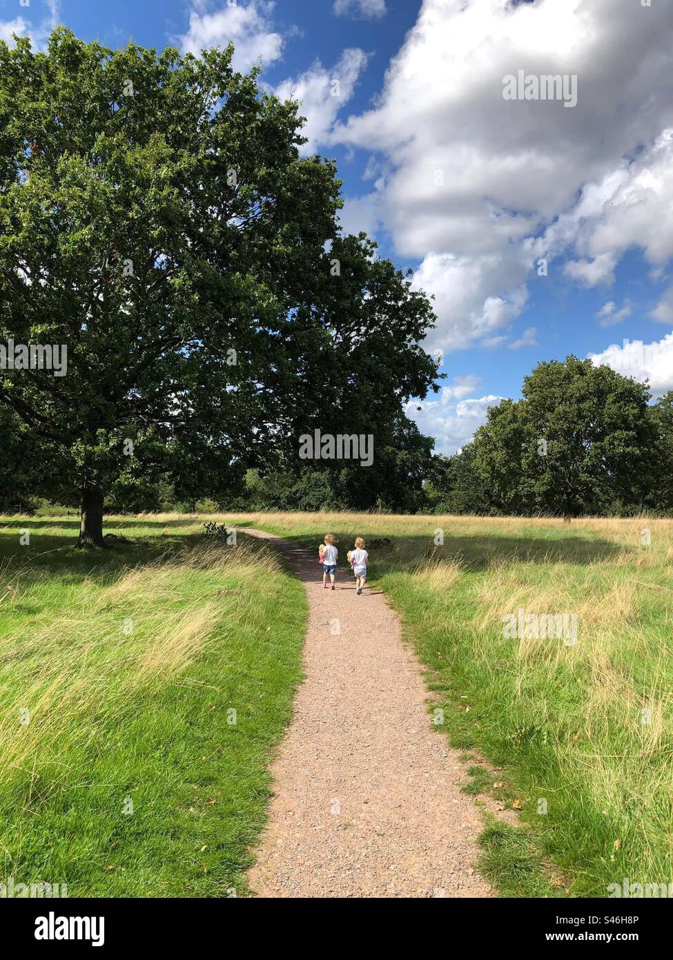 Toddlers running down a path in the countryside with blue skies Stock ...
