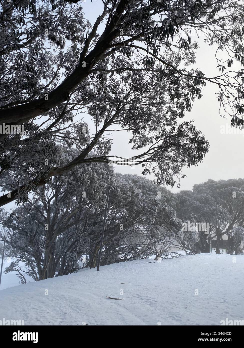 Victoria australia snow hi-res stock photography and images - Alamy