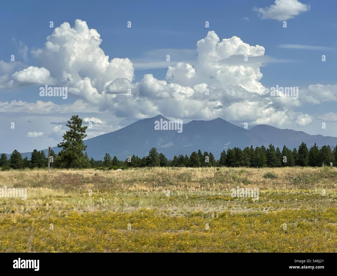 Monsoon clouds gathering over San Francisco Mountain Peaks, Dark green ...
