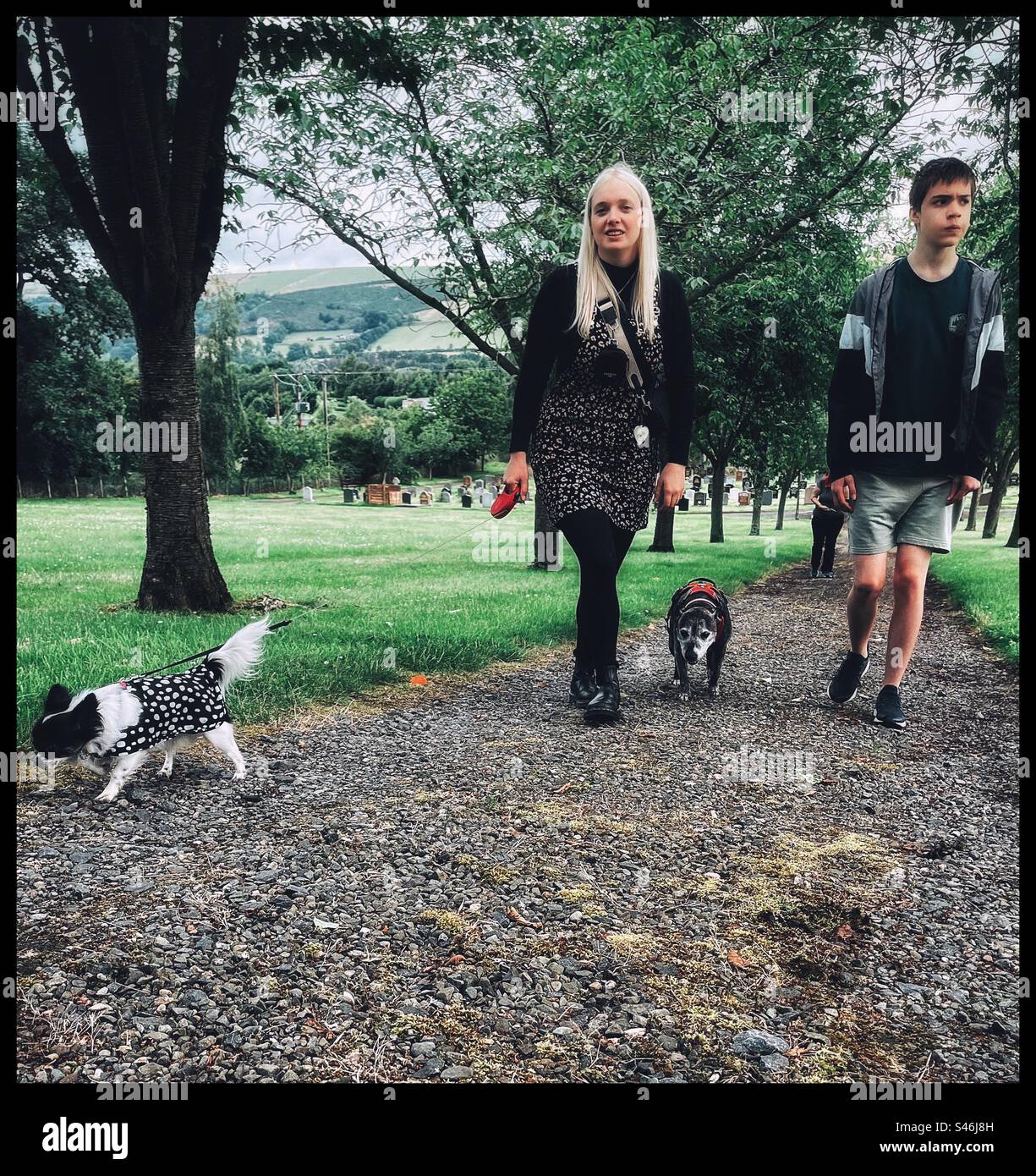 Two people walking in a park with a dog hi-res stock photography and ...