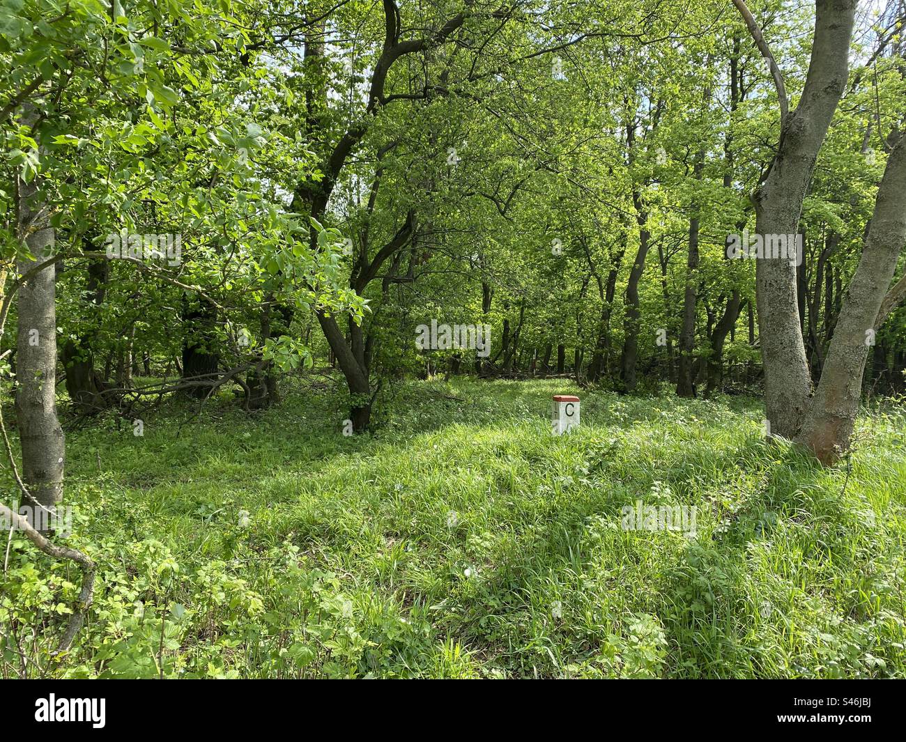Border stone hi-res stock photography and images - Alamy