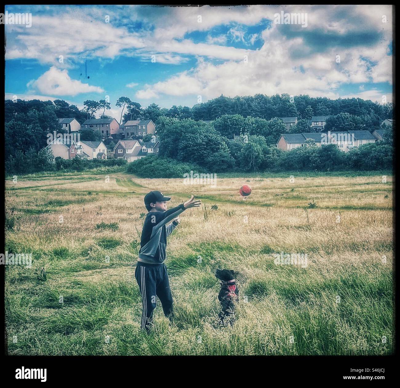 Man throwing ball for dog hi-res stock photography and images - Alamy