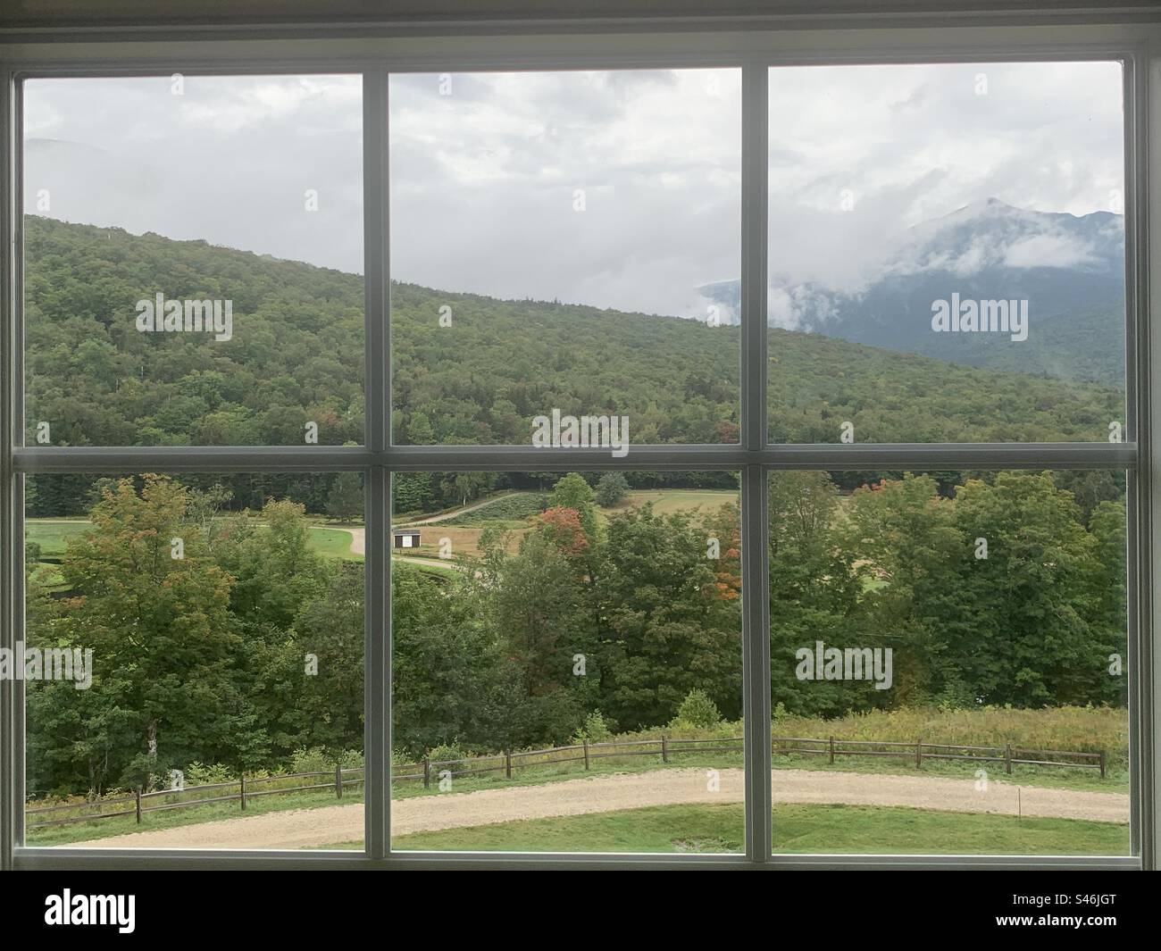 Green trees as seen through a window hi-res stock photography and ...