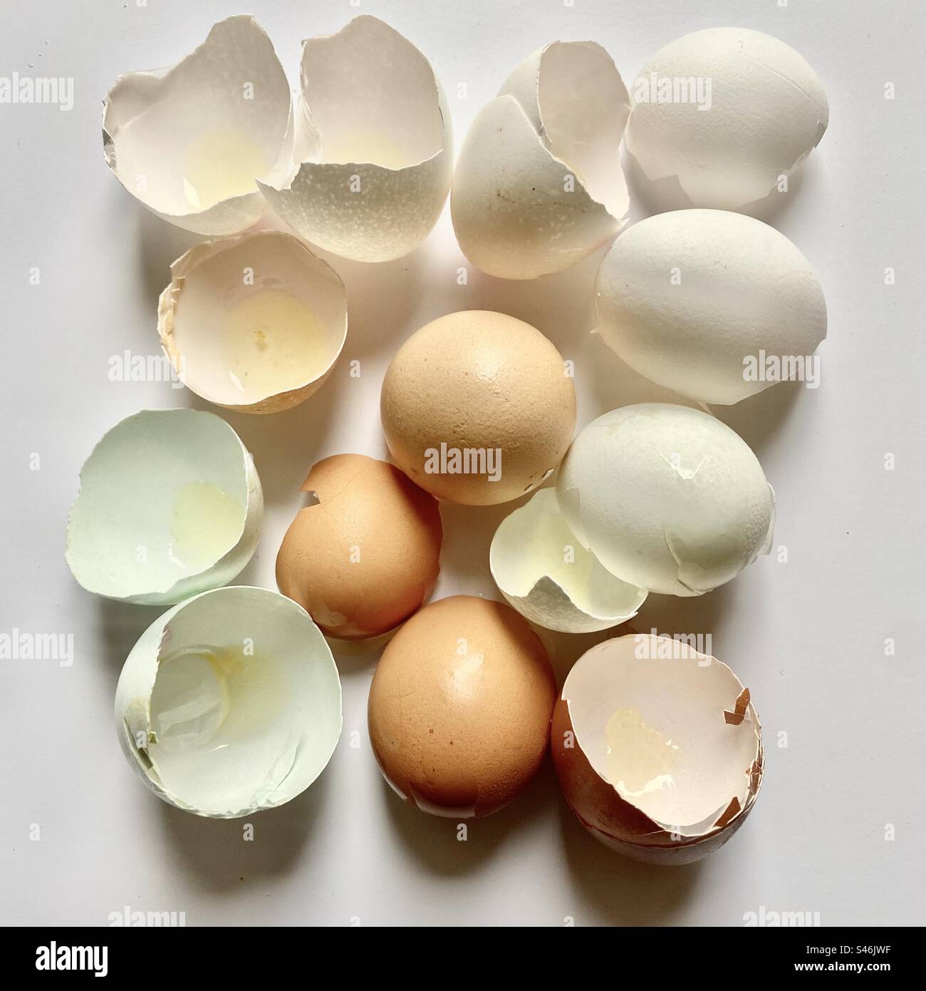 White eggshells hi-res stock photography and images - Alamy