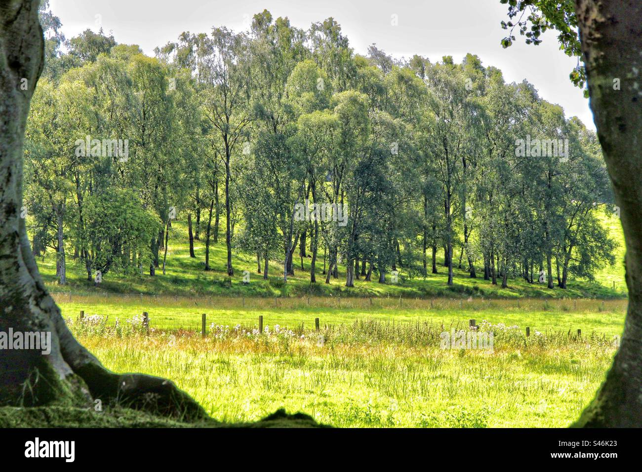 Framing colour hi-res stock photography and images - Alamy