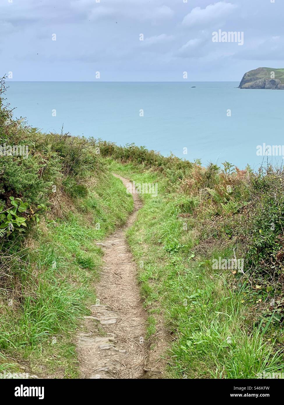 Pembrokeshire Coastal footpath, wales Stock Photo - Alamy
