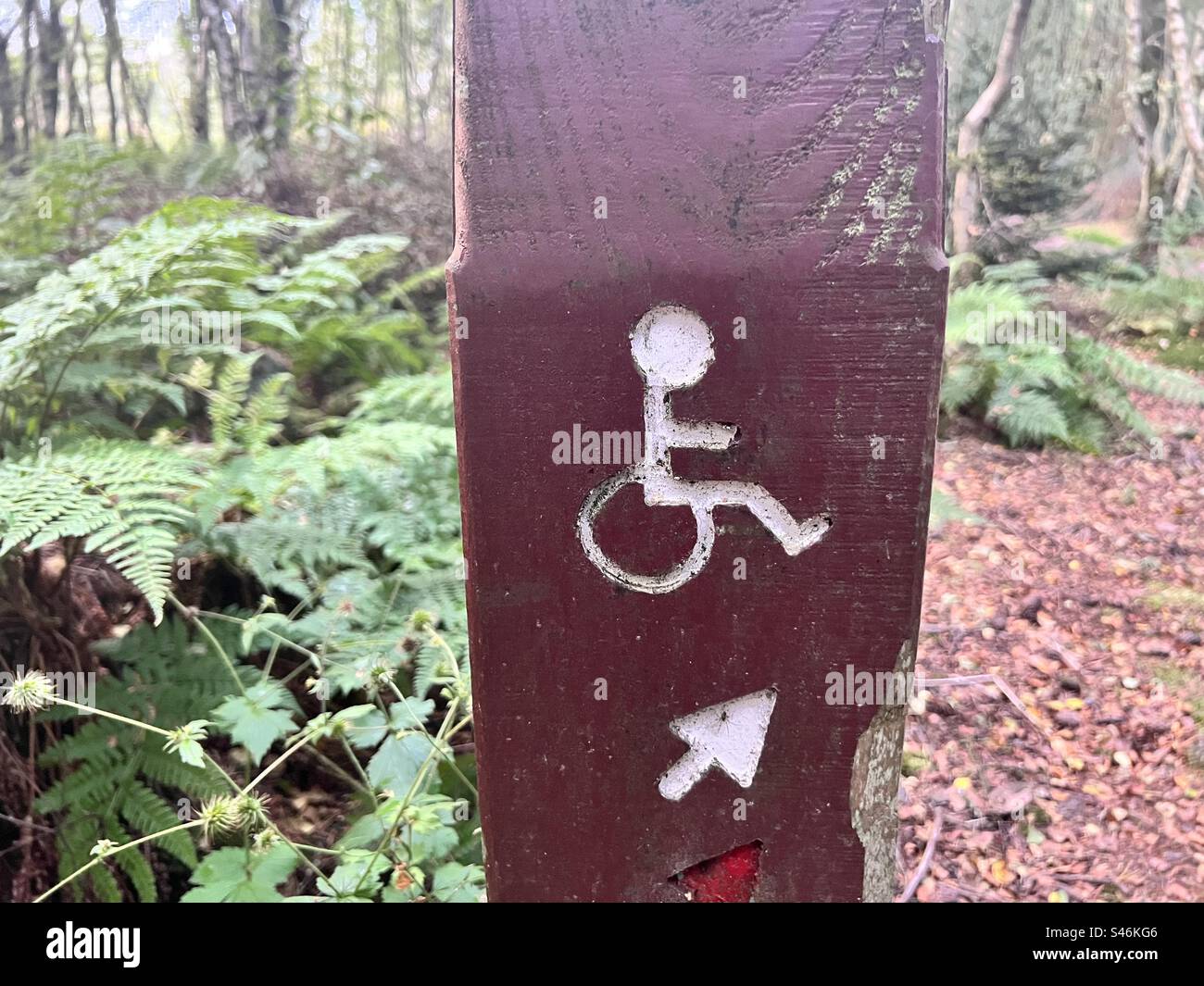 Accessible walking route hi-res stock photography and images - Alamy