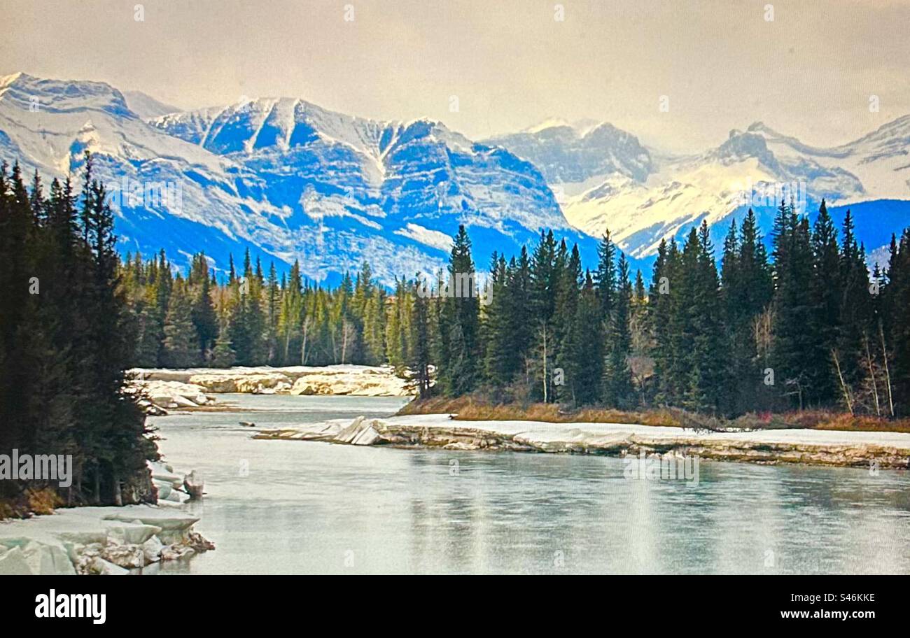 Bow River, Canadian Rockies, wilderness, wilds, evergreens, forest ...