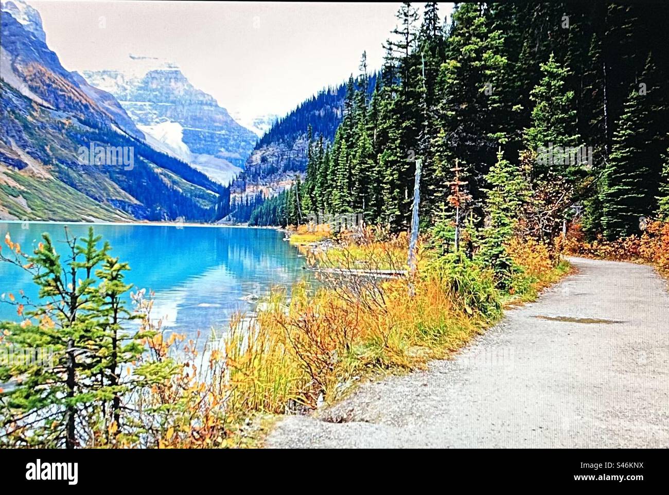 Bow Lake, Rocky Mountains , autumn colours, reflections, mirror Stock ...