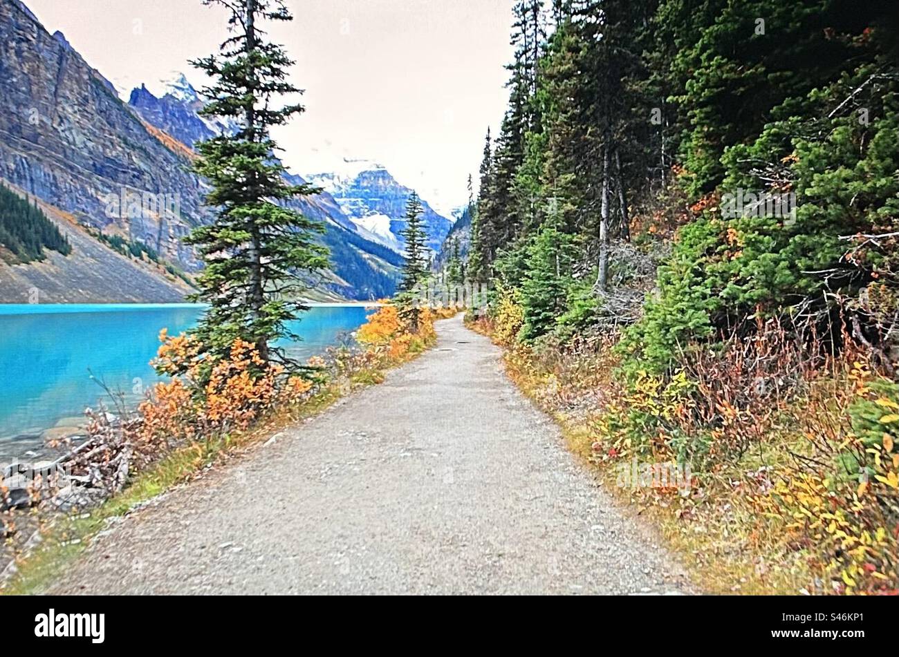 Bow Lake, Rocky Mountains , autumn colours, reflections, mirror Stock ...