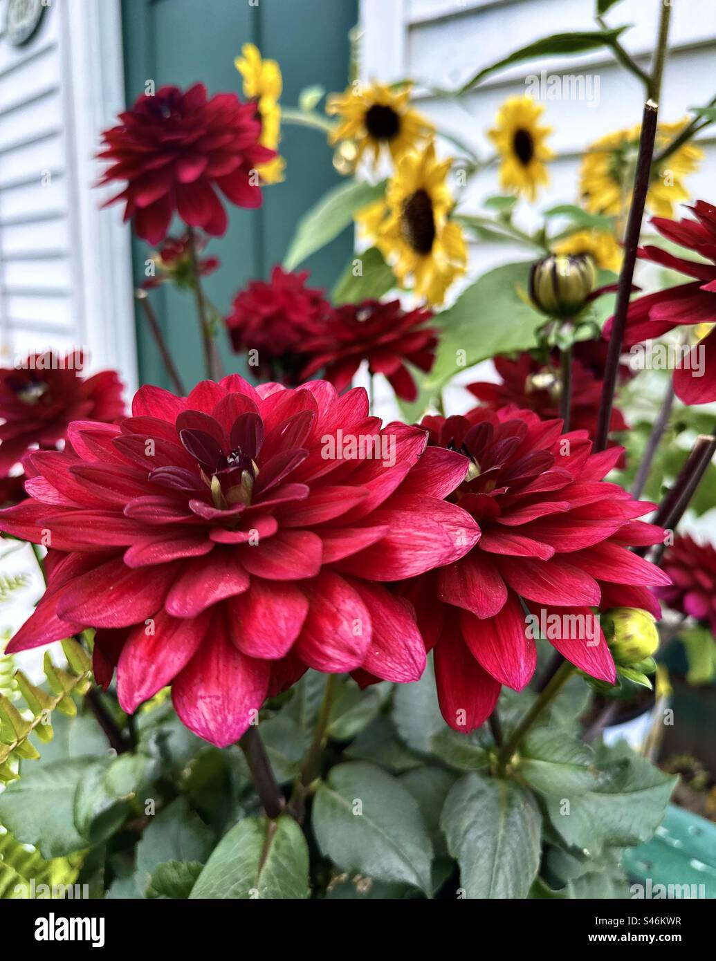 Velvety arabian night hi-res stock photography and images - Alamy