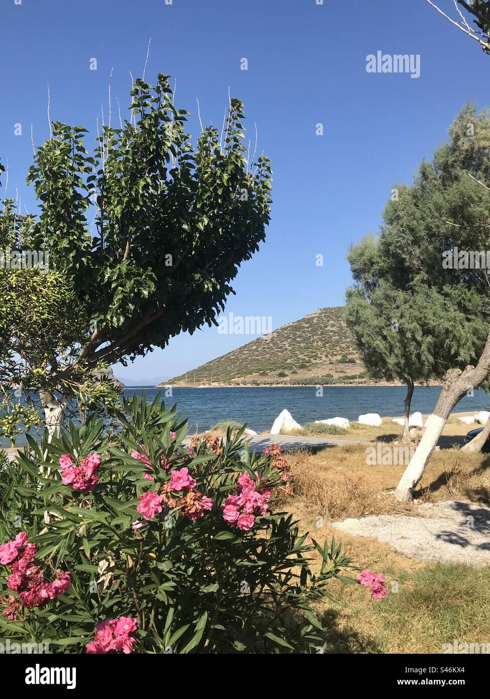 Rafti hi-res stock photography and images - Alamy