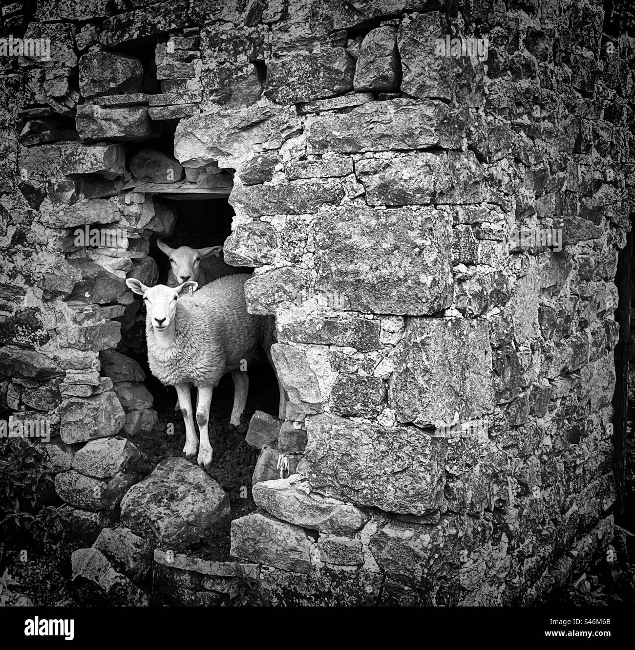 Hole farmhouse Black and White Stock Photos & Images - Alamy