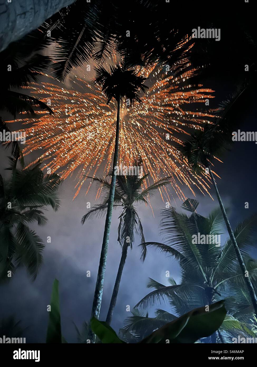 Tree blasting hi-res stock photography and images - Alamy