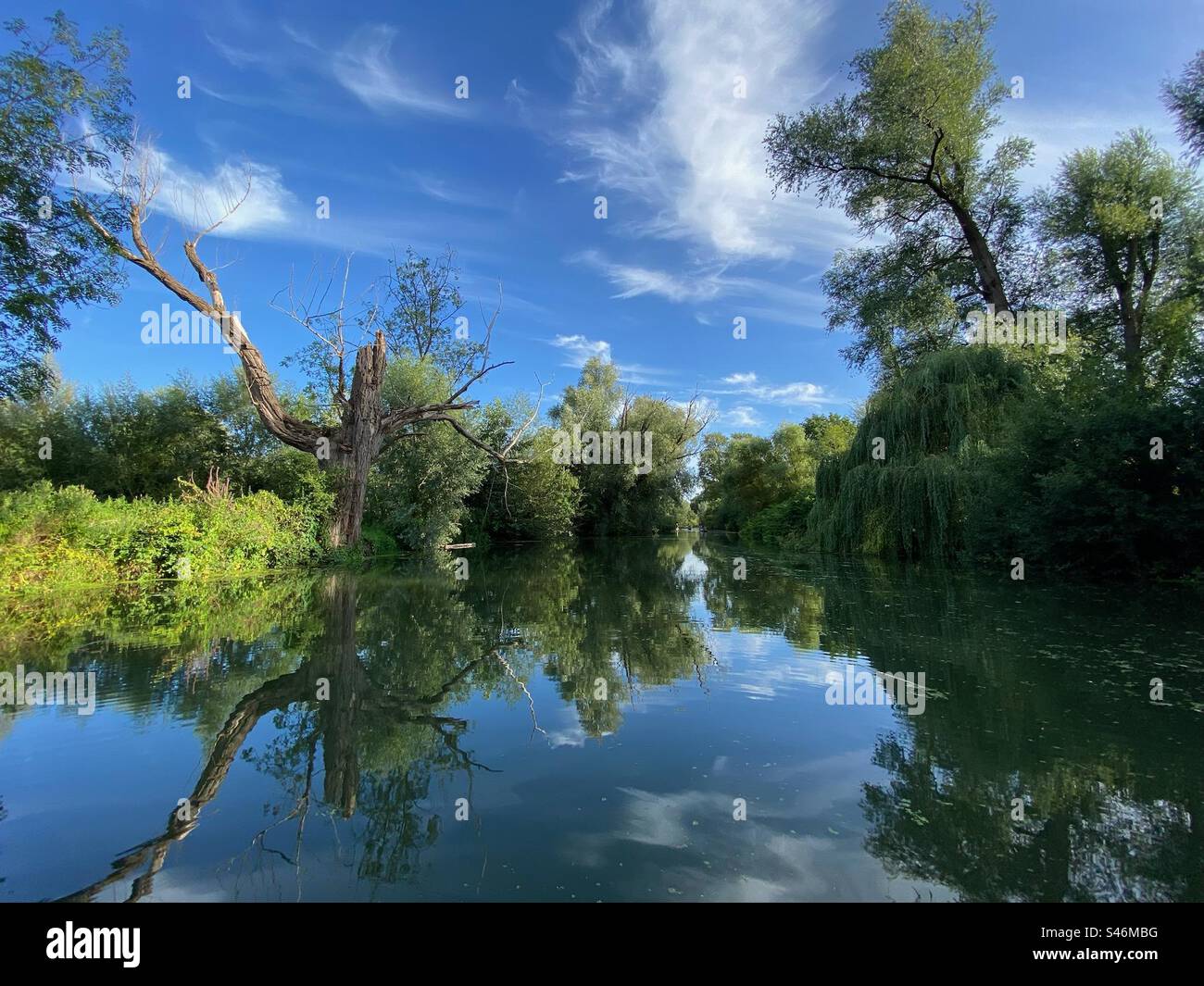 River Cherwell, Oxford on a sunny day. Trees reflecting in the water ...