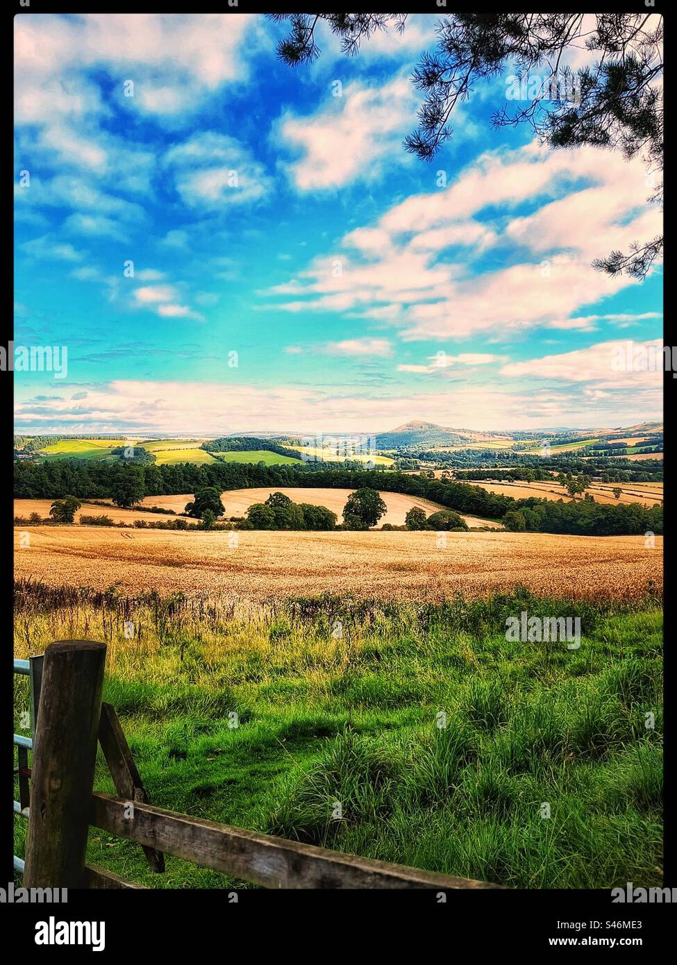 Late summer fields and hills Stock Photo - Alamy