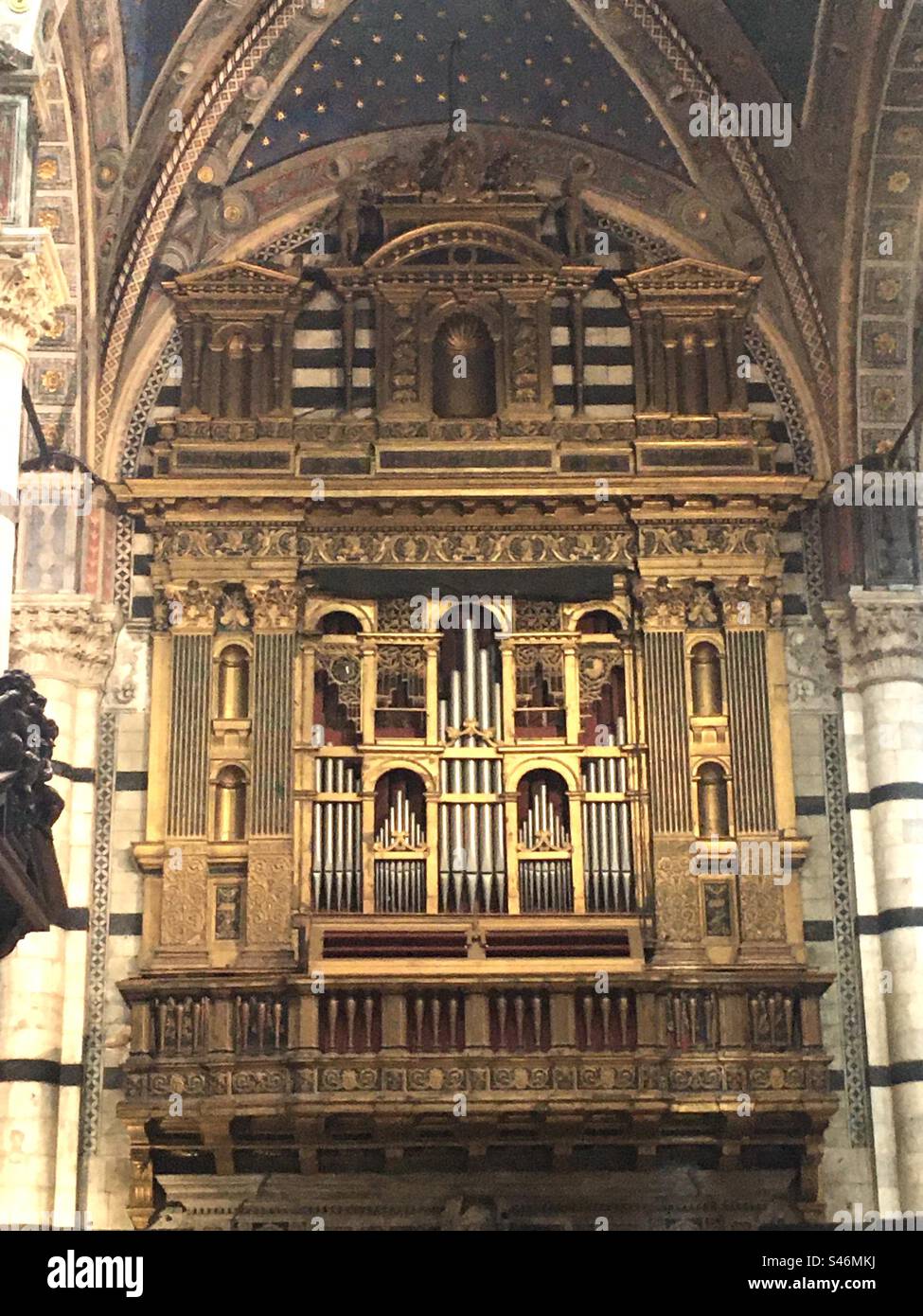 Antico organo a canne nel Duomo di Siena, Toscana. Ancient pipe organ ...