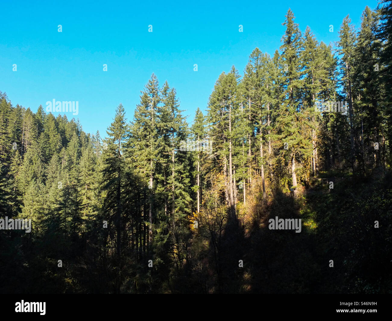 Pnw oregon hi-res stock photography and images - Alamy